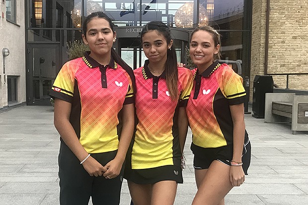 Table Tennis Teams | Butterfly