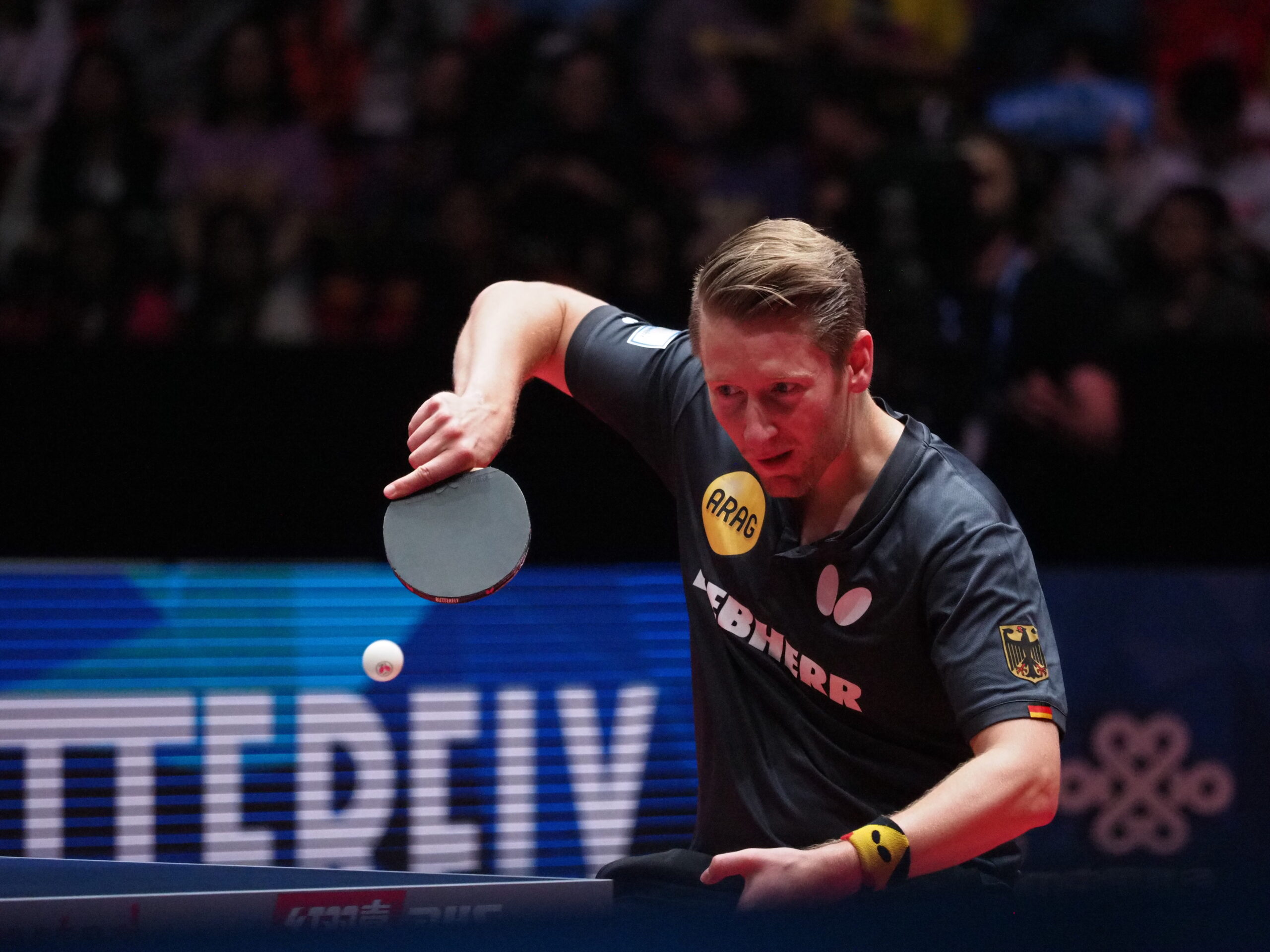 RUWEN, Filus - Butterfly Online